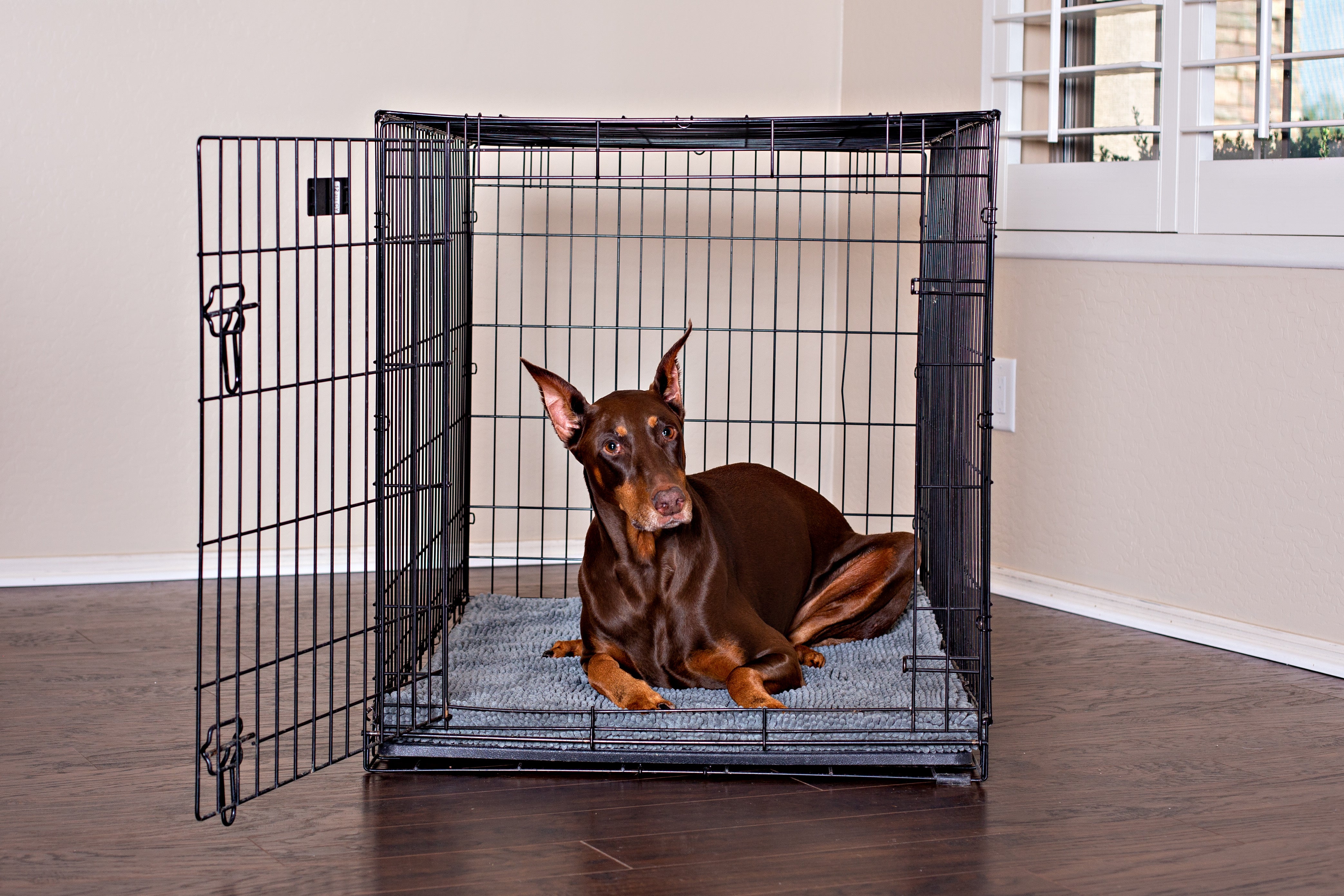 Soggy Doggy Crate Mate: Grey