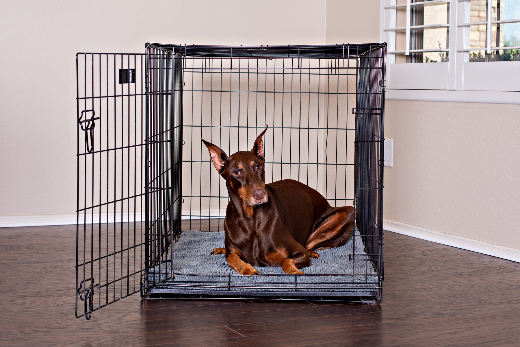Soggy Doggy Crate Mate: Grey